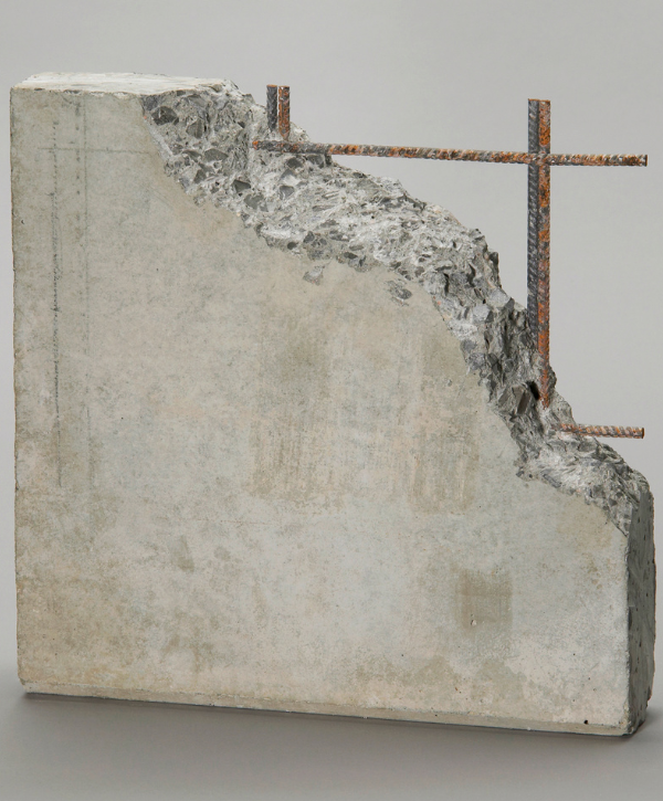 Aegis Ark: Advanced Reinforced Walls and Doors for Ultimate Security